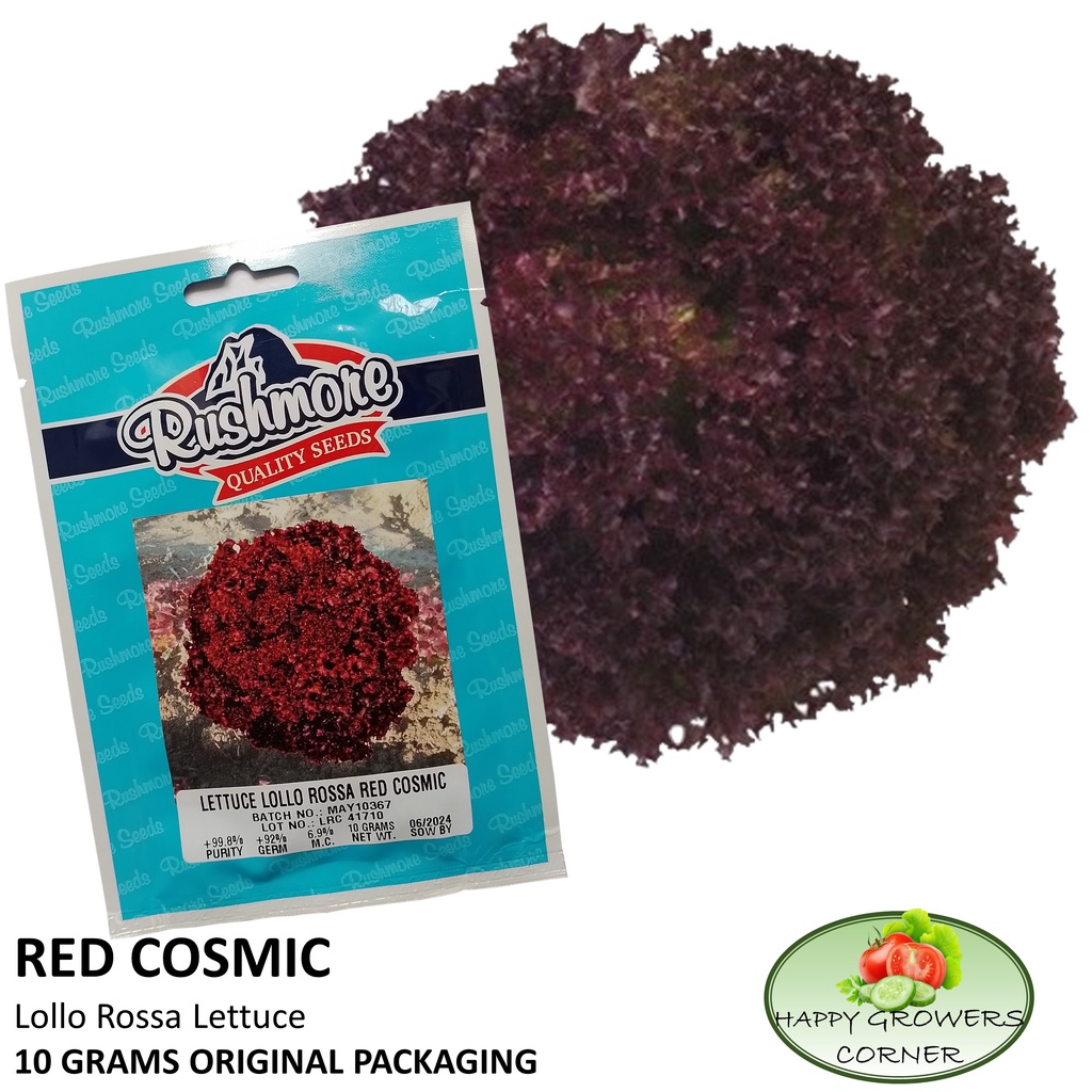 Lollo Bionda Evelyn, Lollo Rossa Red Cosmic Lettuce Seeds by Rushmore ...