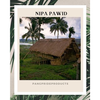 10 PCS Nipa Pawid Roof Hut for Making Bahay Kubo/Gazebo / Pinaor in ...