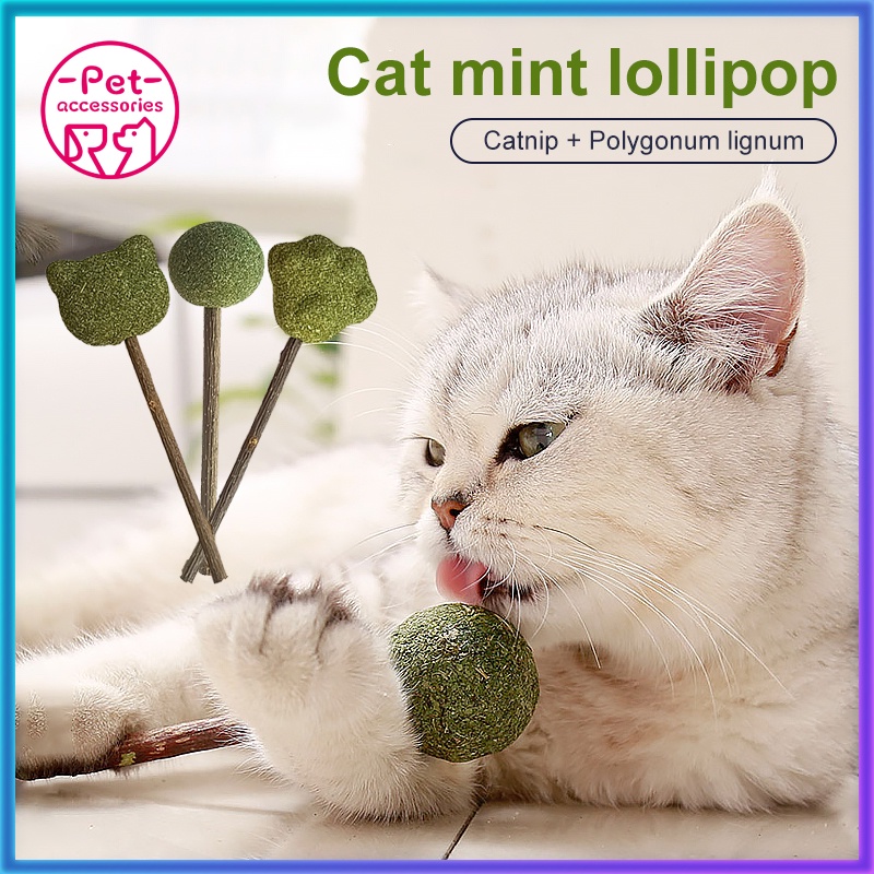 Cat Catnip Lollipop kitten Mint Snacks | Shopee Philippines