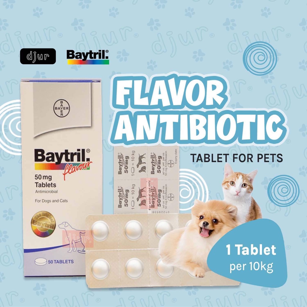 BAYTRIL 50mg Flavor Antibiotic Tablet for Pets | Shopee Philippines