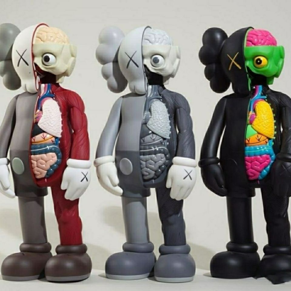 KAWS Sesame Street XX Eye Half Anatomy Wear Trendy Play Large Size ...