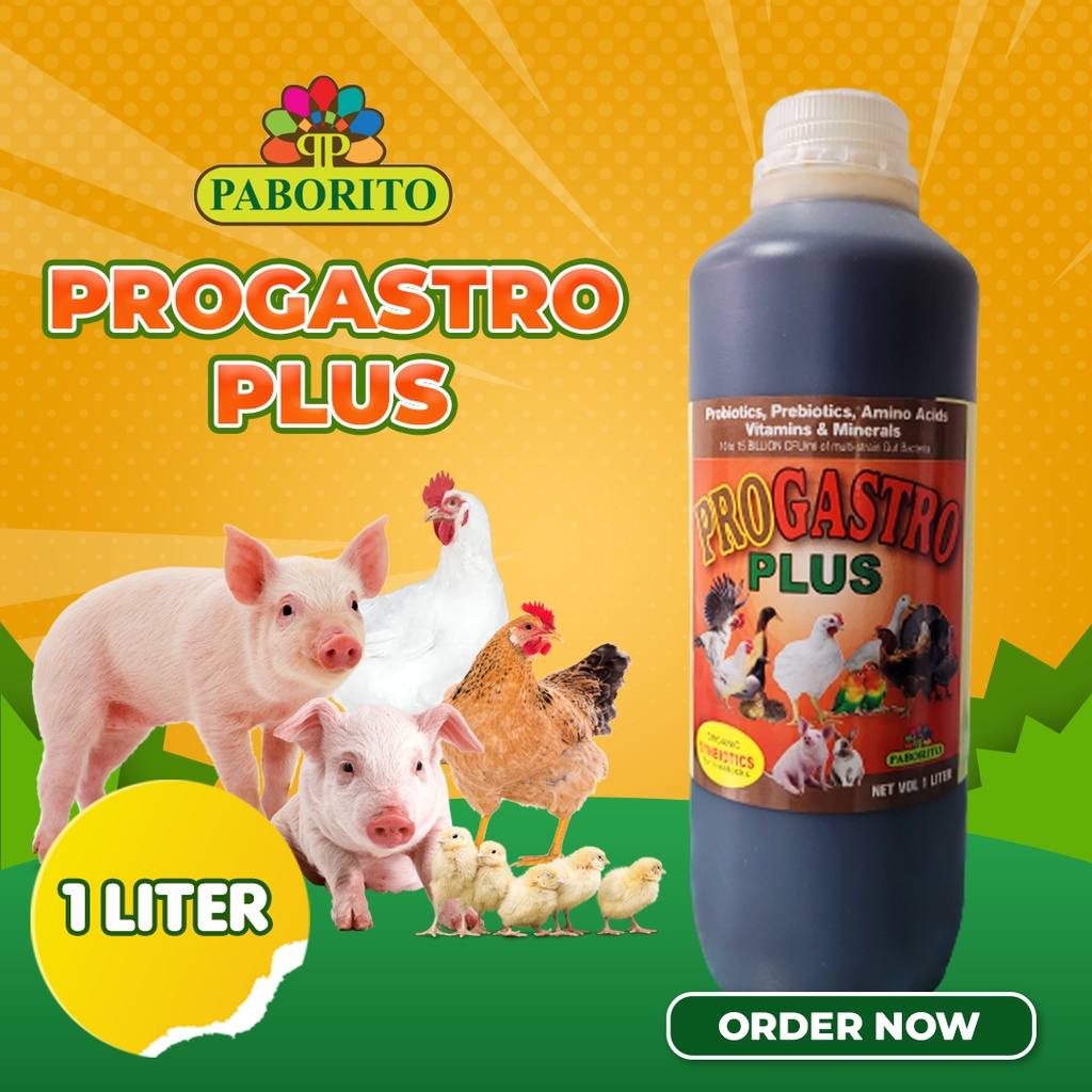 ProGastro Plus | Poultry & Swine Probiotics | Layers, Broilers, & Other Farm Animals | 1L ...