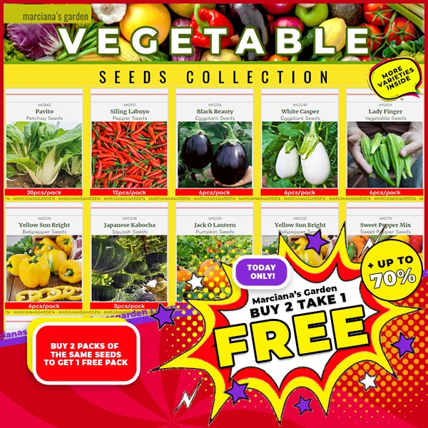 VEGETABLE SEEDS COLLECTION - Heirloom Vegetable Seeds - Rare Vegetable ...