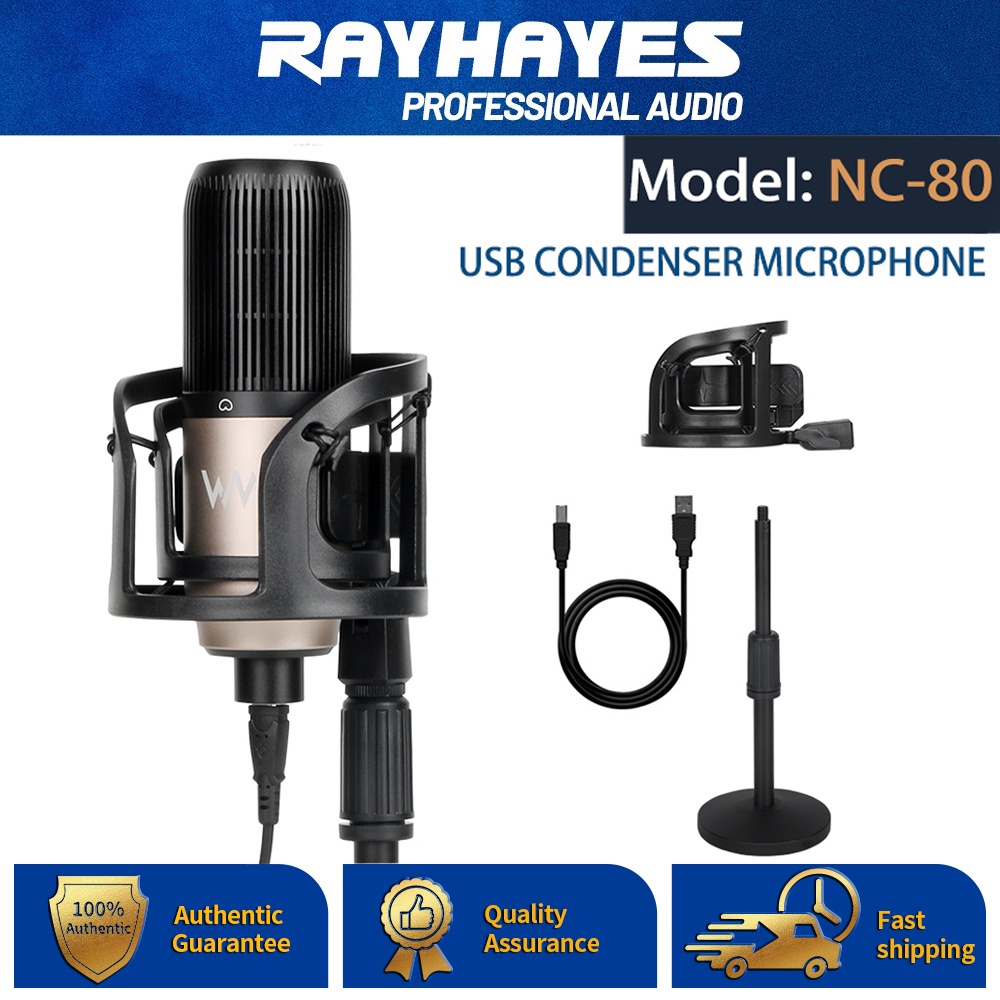 RAYHAYES condenser microphone with stand and filter 3.5mm suitable for ...
