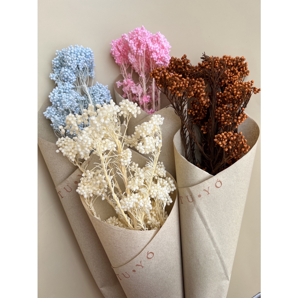 Real Preserved Rice Flower Dried | Shopee Philippines