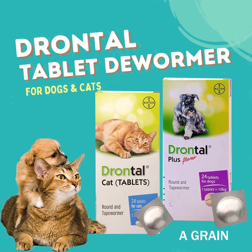 Drontal Plus 1 Tablet Tasty Dewormer Tablets for Dogs Cats (NO Sticker ...