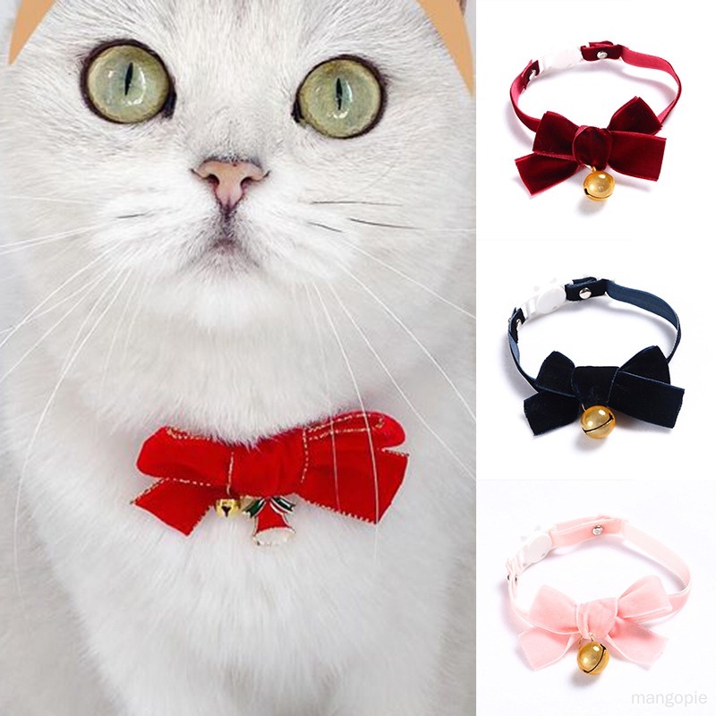Solid Color Bowknot Velvet Cat Collar Pet Accessories Puppy Chihuahua ...