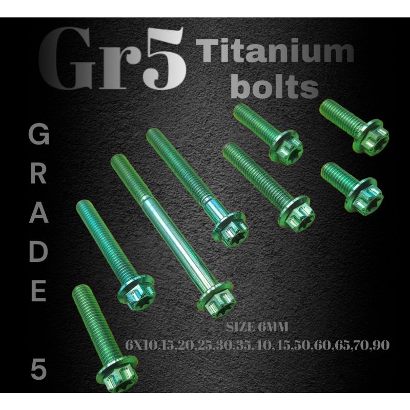 GR5 TITANIUM BOLTS 6X10-6X45 | Shopee Philippines