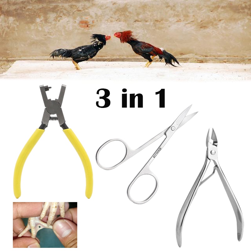 3 in 1 Gamefowl Accessories 2mm Chick Toe Puncher+Rooster Feather ...