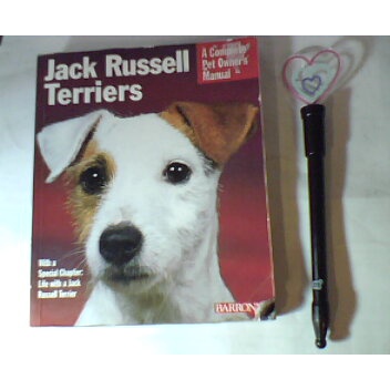 Jack Russell Terrier - Dogs pets training Housing Care Nutrition ...