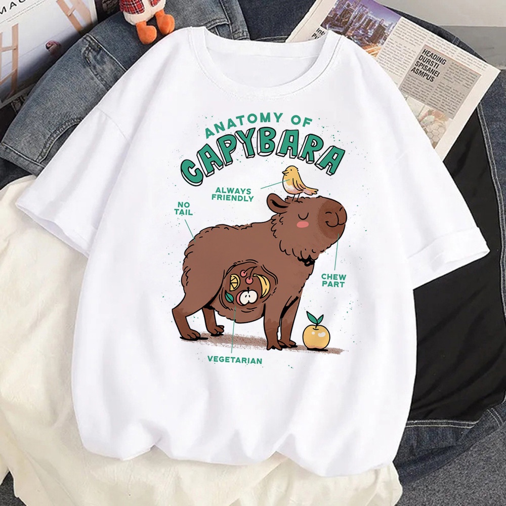 Capybara Capibara tshirt women Japanese tshirt female harajuku y2k ...