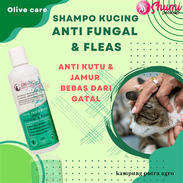 Anti FUNGAL & FLEAS Package Cat Shampoo to Get Rid of Fungus and FLEAS ...