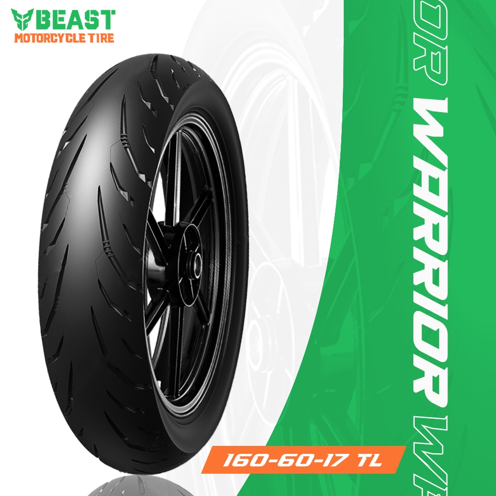 Beast Tire Warrior SR30 160/60-17 Tubeless Motorcycle Tires for Better ...