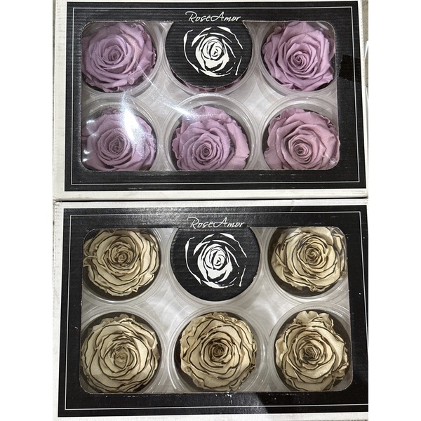 Vday SALE - Rose Amor Premium Ecuadorian Preserved Rose | Shopee ...