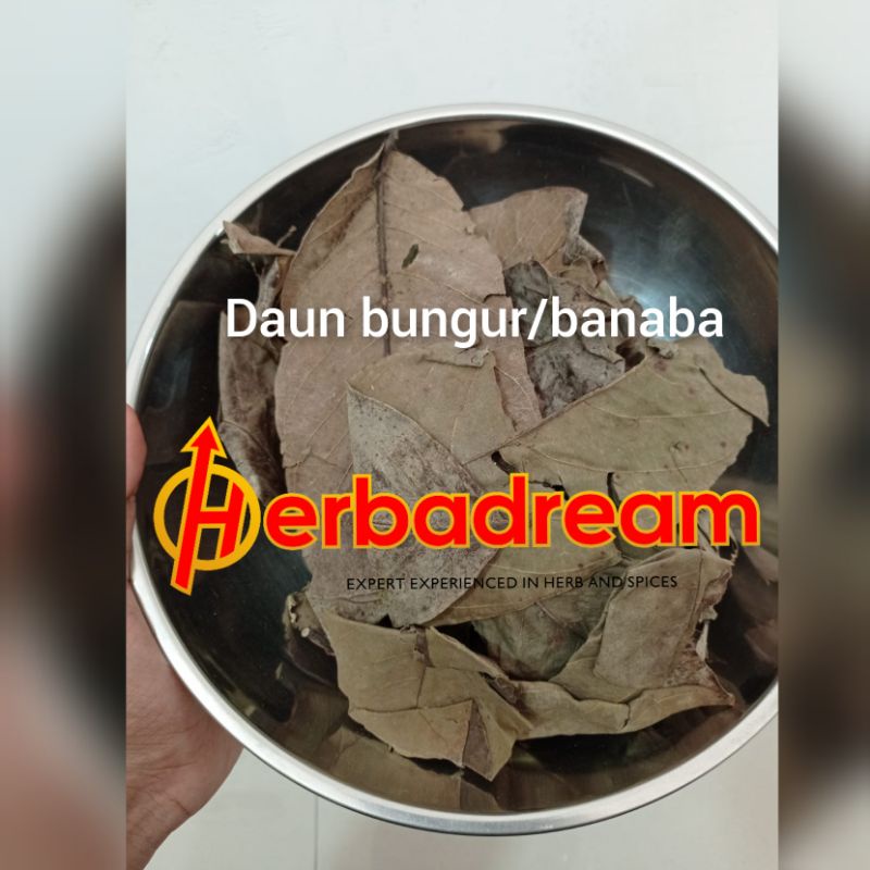 15 GRAMS OF BANABA BAGUUR LEAVES LAGERSTROEMIA SPEMOSA GLUTINY RICE ...