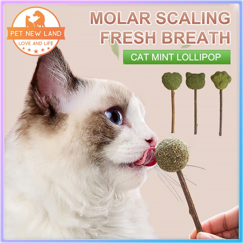 Cat Catnip Lollipop Natural Mint Kitten Snacks Cat Play Toys Pet ...