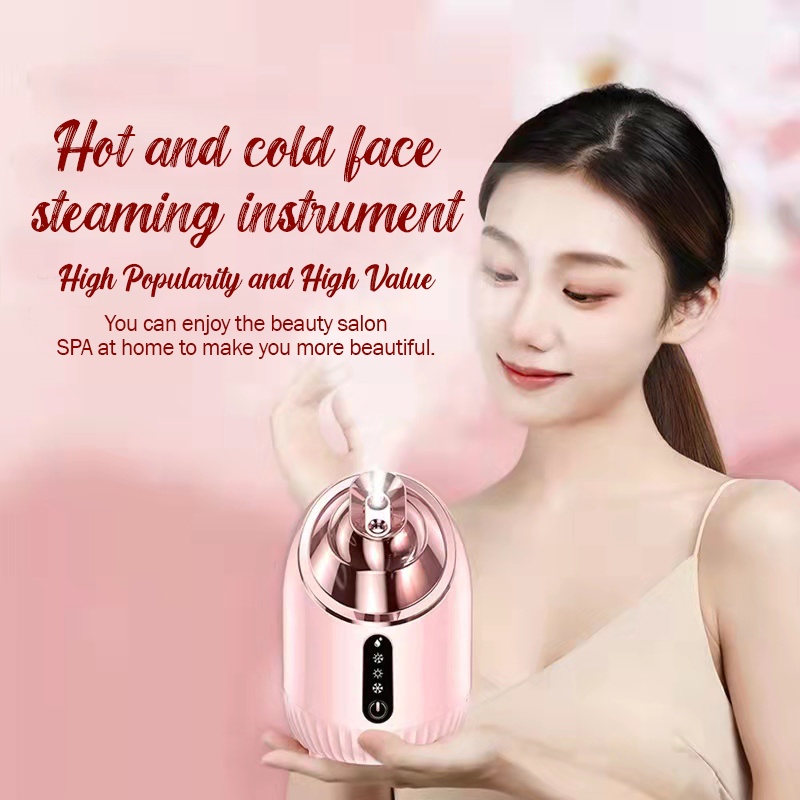 Face Steamer SPA Hydrate Hot Mist Inhaler Facial Sauna Home Facial ...