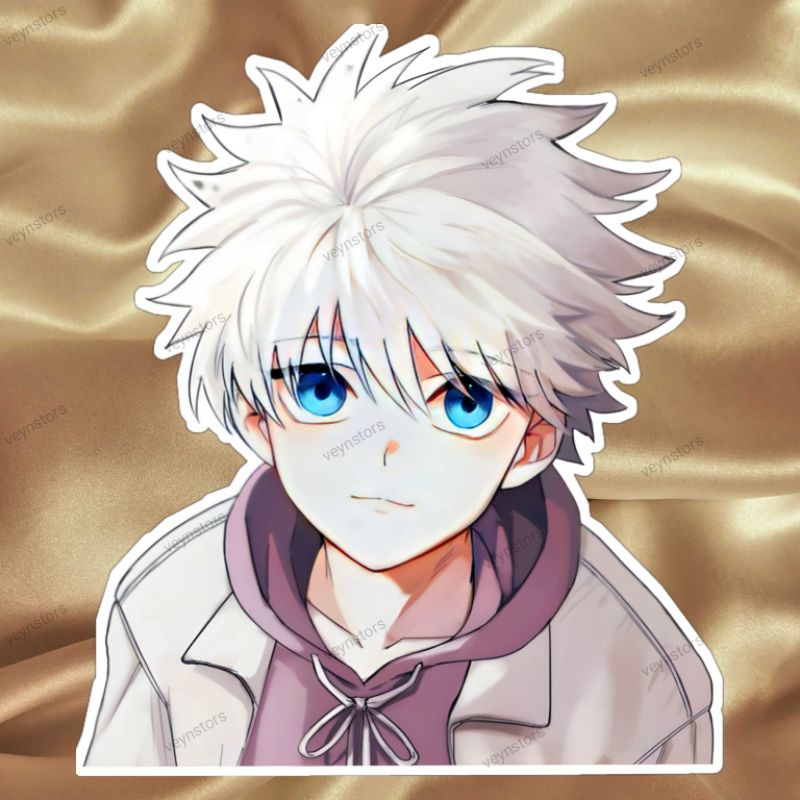 HUNTER X HUNTER KILLUA ZOLDYCK LAMINATED VINYL STICKER | Shopee Philippines