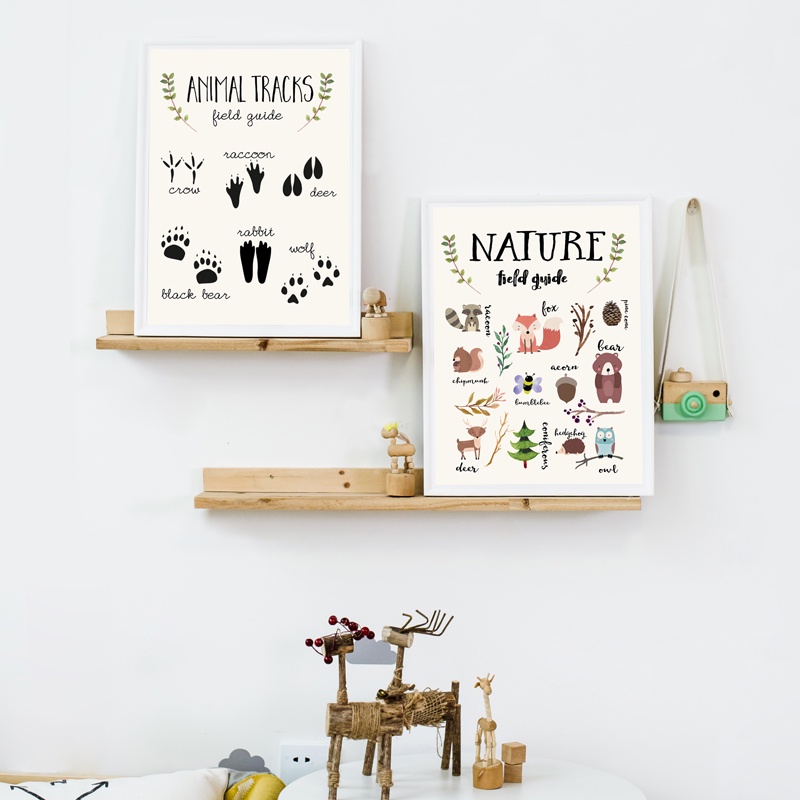 Nature Field Guide Poster Educational Prints Woodland Animals Tracks ...