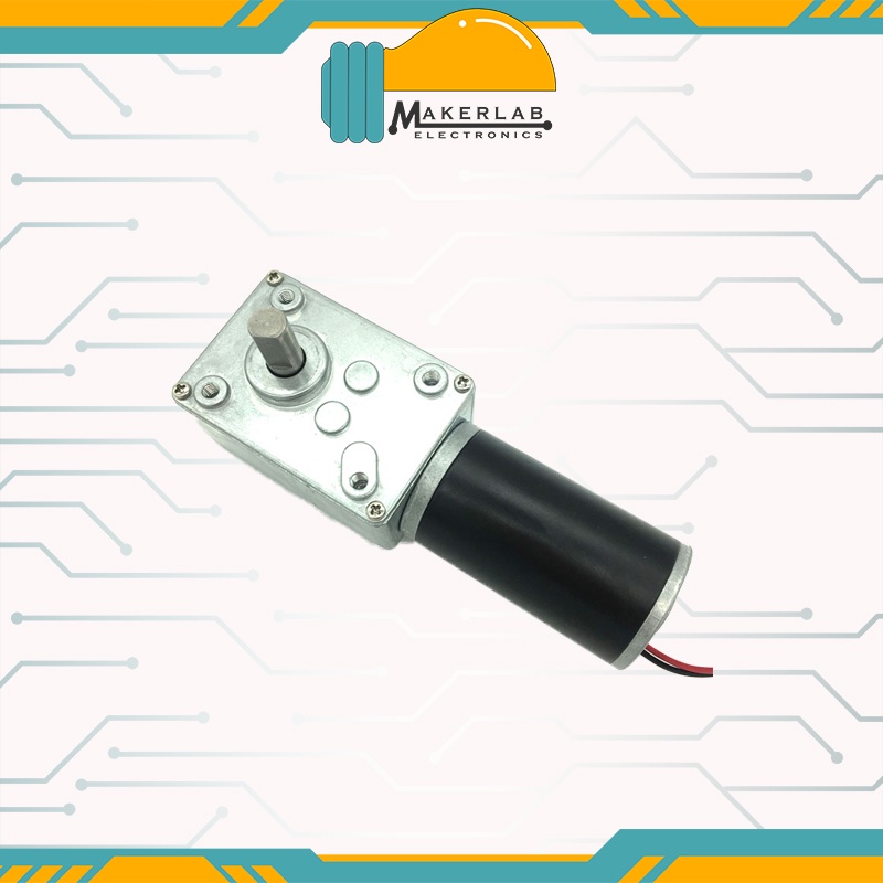 DC Worm Gear Motor SGM-A58SW31ZYS 12V 16RPM 80RPM | SGM-370 12V 40rpm ...