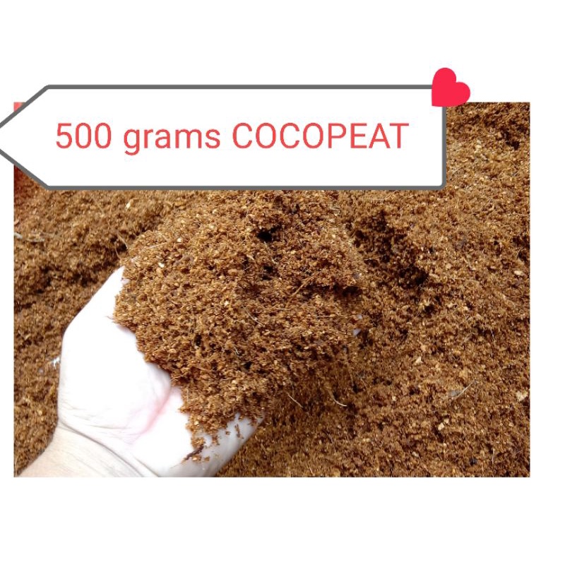 500 grams COCOPEAT Good Substrate for PLANTS | TARANTULA | PETS | CAT ...