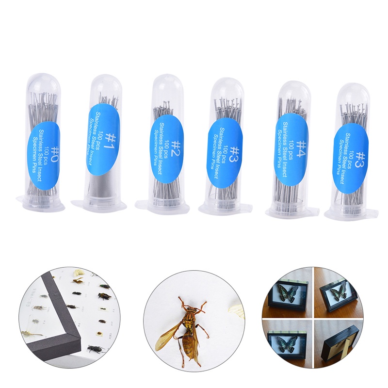 100 Pcs Integrated insect needle Insect Pins Specimen Needle Stainless ...