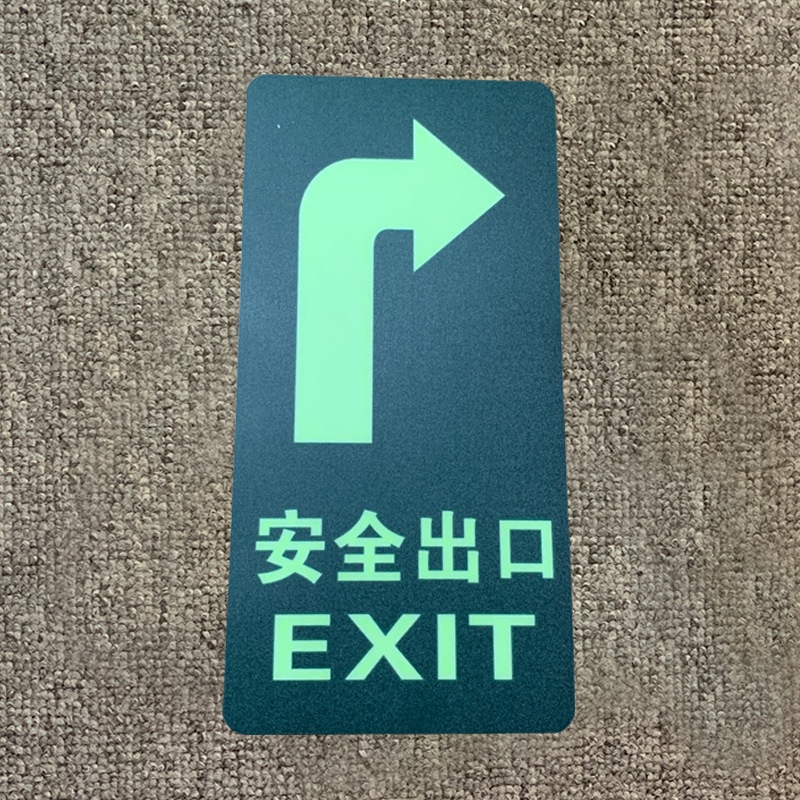 Channel Direction Sign Noctilucent Smart Sign Escape Direction Sign ...