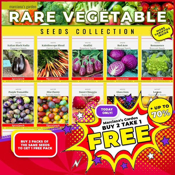 RARE VEGETABLE SEEDS COLLECTION - Heirloom Vegetable Seeds Collection ...