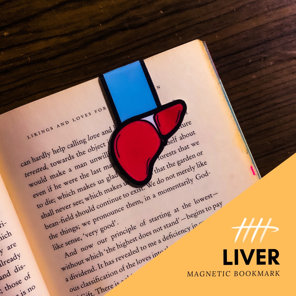 HUMAN ANATOMY ORGANS MAGNETIC BOOKMARK | Shopee Philippines