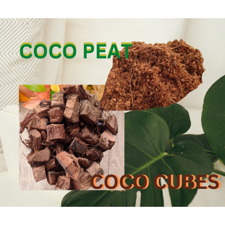 COCO PEAT COCO CUBES sold per half kilo pack | Shopee Philippines