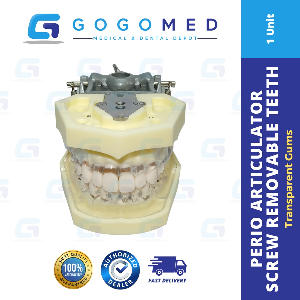 Perio Articulator Teeth Model Screw (Transparent Gums) | Shopee Philippines