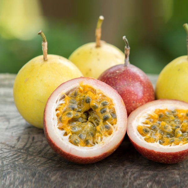 RARE FRUIT SEEDS COLLECTION - Heirloom Fruits Seeds Collection - Dragon ...