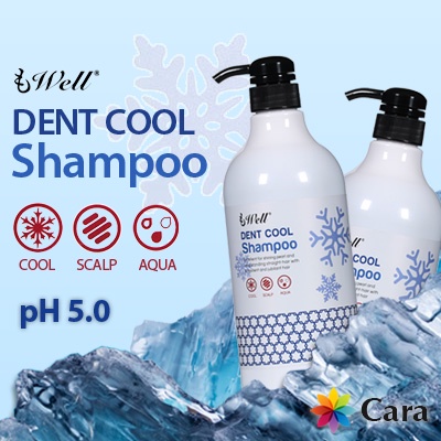 mowell DENT COOL Shampoo 1000ml | Shopee Philippines