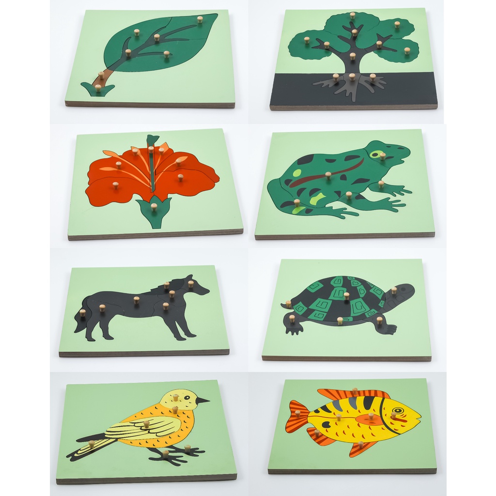 Montessori Botany Zoology Puzzle | Tree | Leaf | Flower | Bird | Fish ...