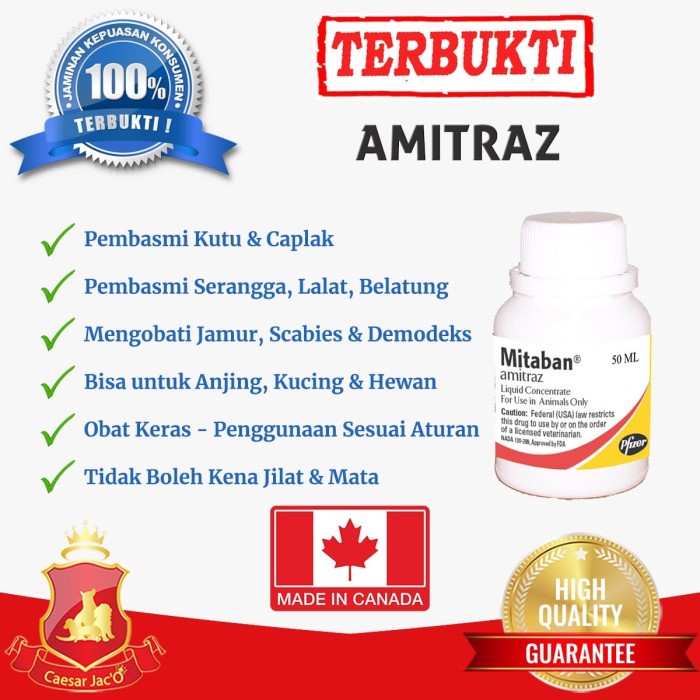 Amitraz Amitras Medicine for Skin Lice, Scabies, Demodex, Fungus, Dogs ...