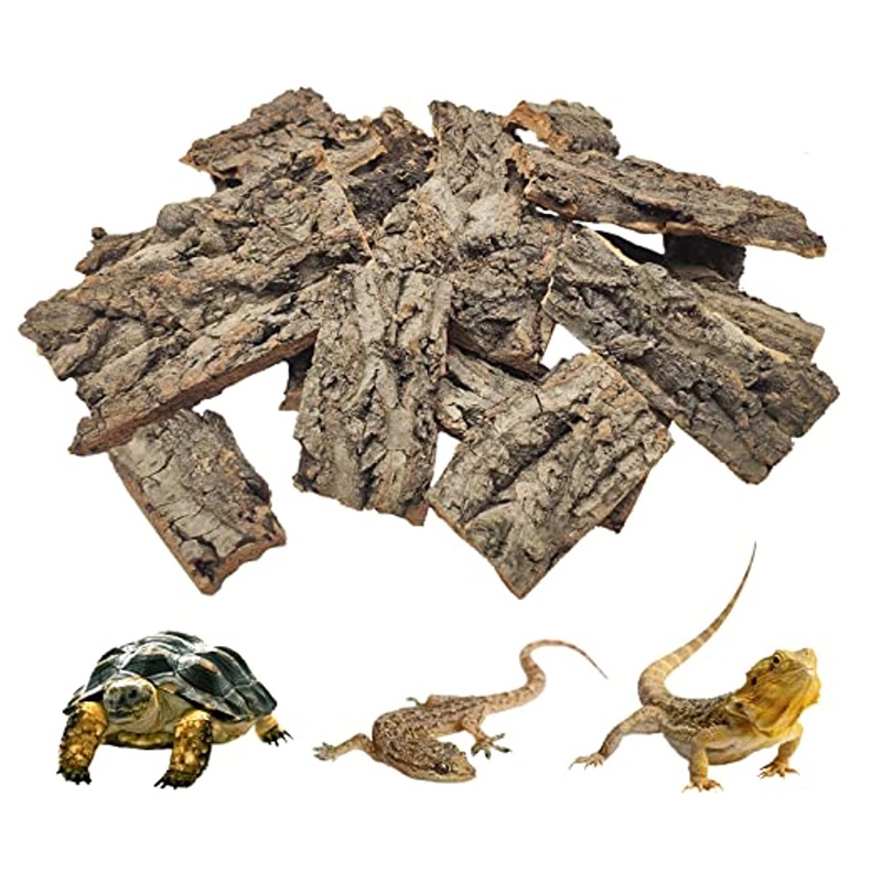 Natural Cork Bark for Tarantula Hideout Reptile Terrarium Climb ...