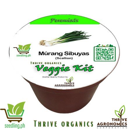 Murang Sibuyas Onion Veggie Kit Grow Kit Seedling Kit Planting Kit ...