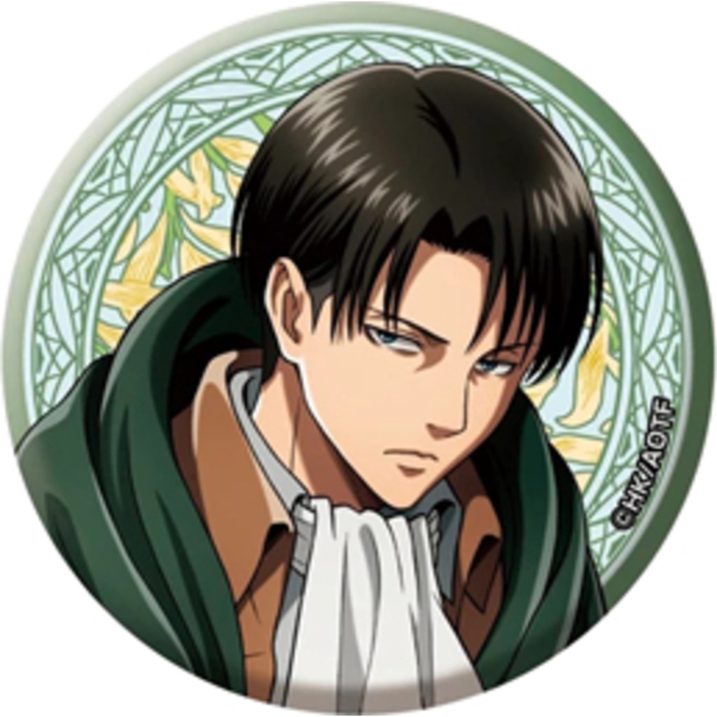 Attack on Titan Anime Erwin Smith Eren Levi Armin Arlelt Zoe Hange Hans ...