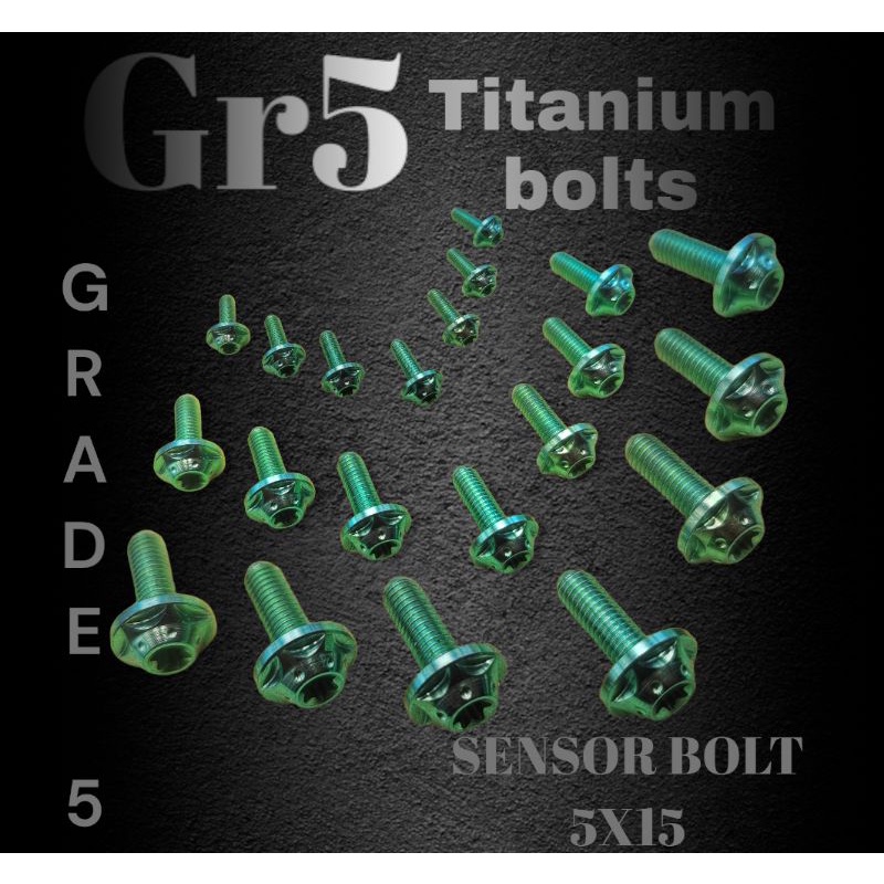 GR5 TITANIUM BOLTS, SENSOR BOLT, 5X15 PER PIRASO | Shopee Philippines