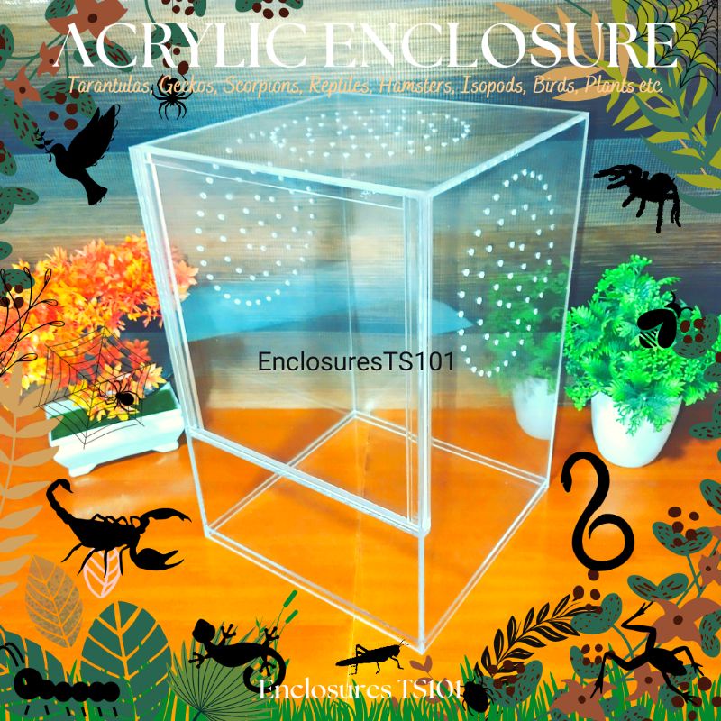 Acrylic Enclosure for Mature Tarantula, Scorpion, Reptiles, Isopods ...