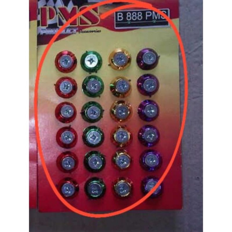 Color Number Plate Bolts+Multipurpose Bolt Ring Contents 24Pcs | Shopee ...