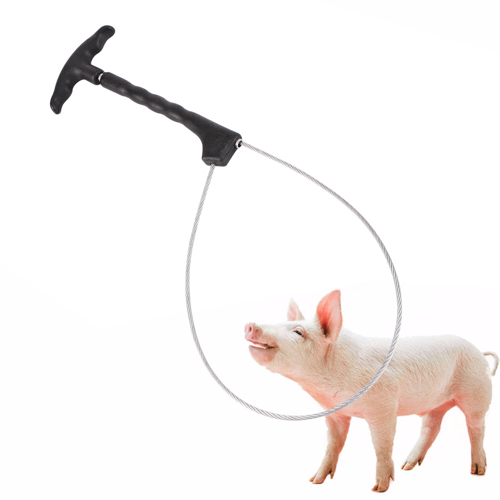 Steel Pig Holder Pig Squeezer Holder Livestock Snare Trap with Handle ...