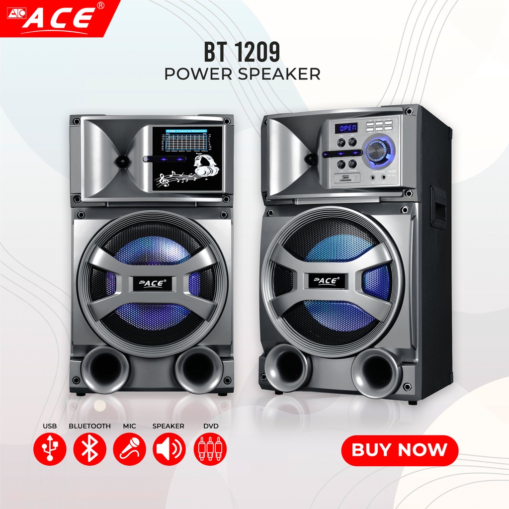 ACE BT-1209 12" Professional Sub-woofer Speaker Amplifier | Shopee Philippines