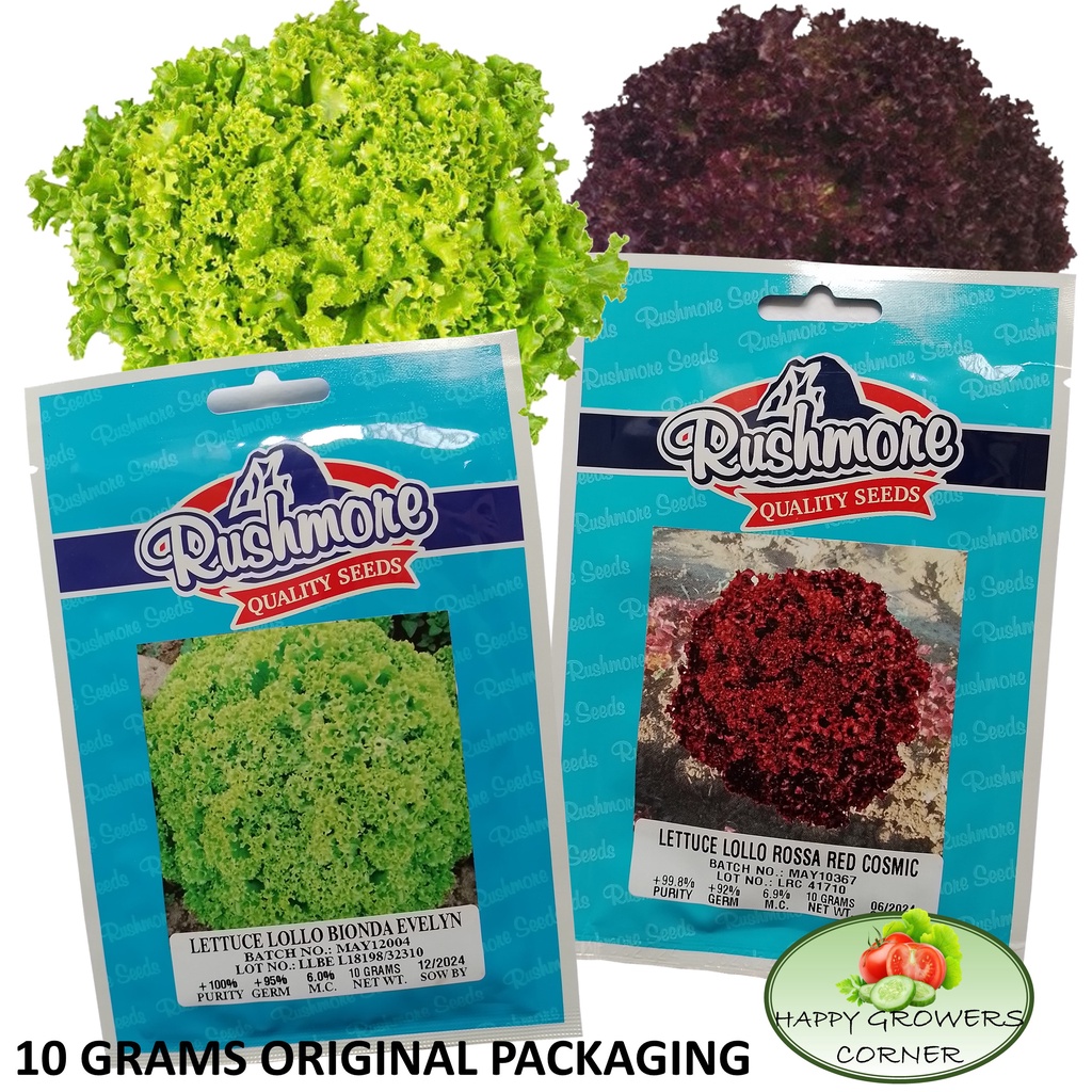 Lollo Bionda Evelyn, Lollo Rossa Red Cosmic Lettuce Seeds by Rushmore ...