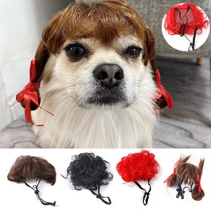 【COD】Pet Wig Puppy Headgear Cat Wig Dog Curly Hair Straight Hair Dog ...