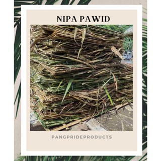 10 PCS Nipa Pawid Roof Hut for Making Bahay Kubo/Gazebo / Pinaor in ...
