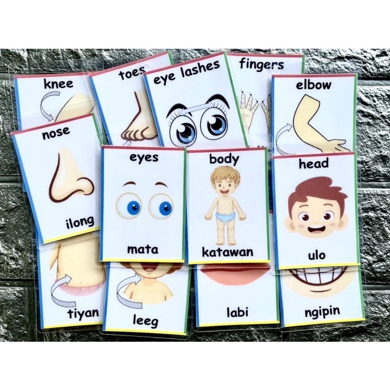 Body Parts Flashcard-Laminated | Shopee Philippines
