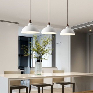 Drop light Hanging Pendant Light Lamp Single Head Modern Simple ...