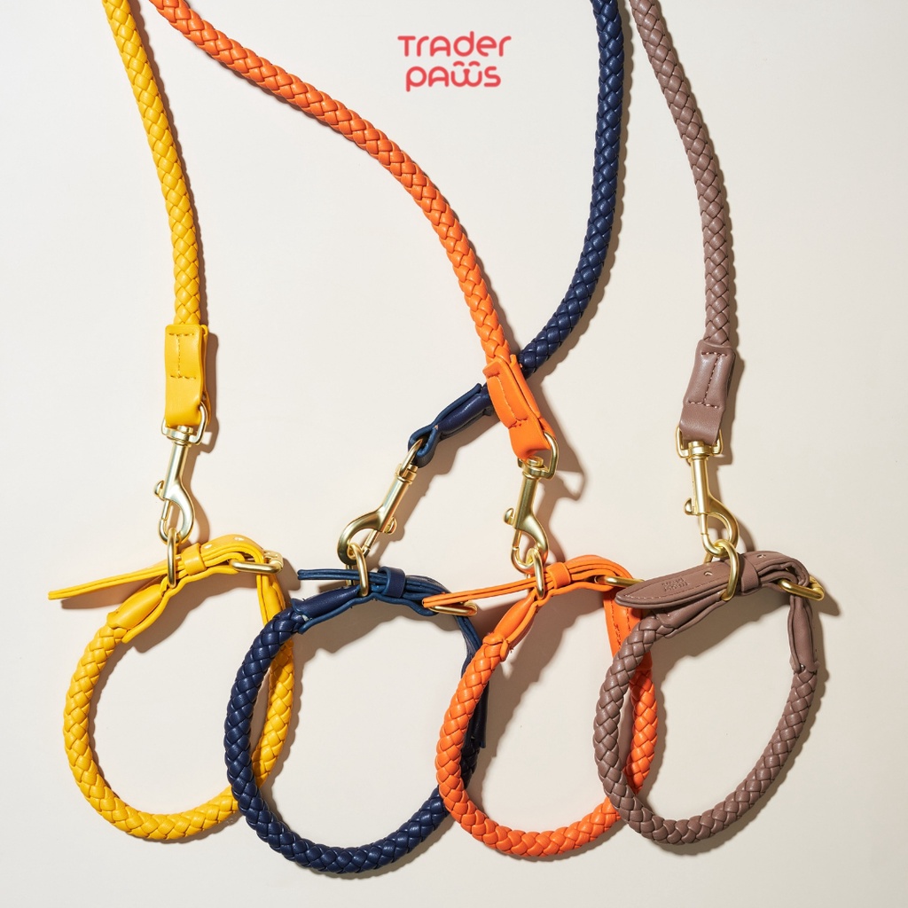 Trader Paws Braided Leather Dog Collar & Leash | Shopee Philippines
