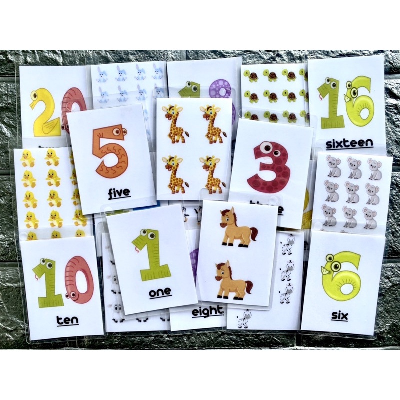 Numbers and Counting-Animal Themed Flashcards (LAMINATED) | Shopee ...